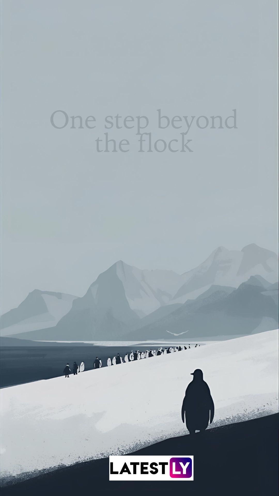 Viral Nihilist Penguin Wallpapers & Memes: Download in 4K and HD | 👍 ...