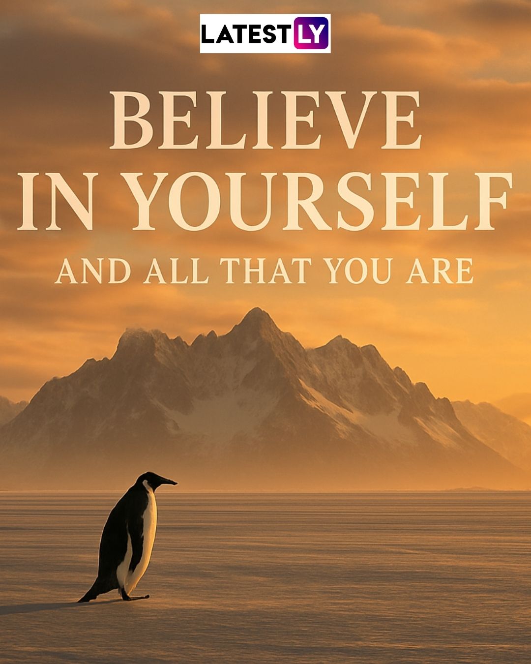 Viral Nihilist Penguin Wallpapers & Memes: Download in 4K and HD | 👍 ...